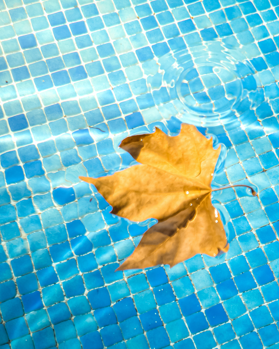 Instruction For Fall Pool Care Maintenance